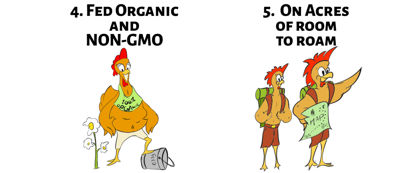 Beyond | Happy Hens Beyond | Happy Hens